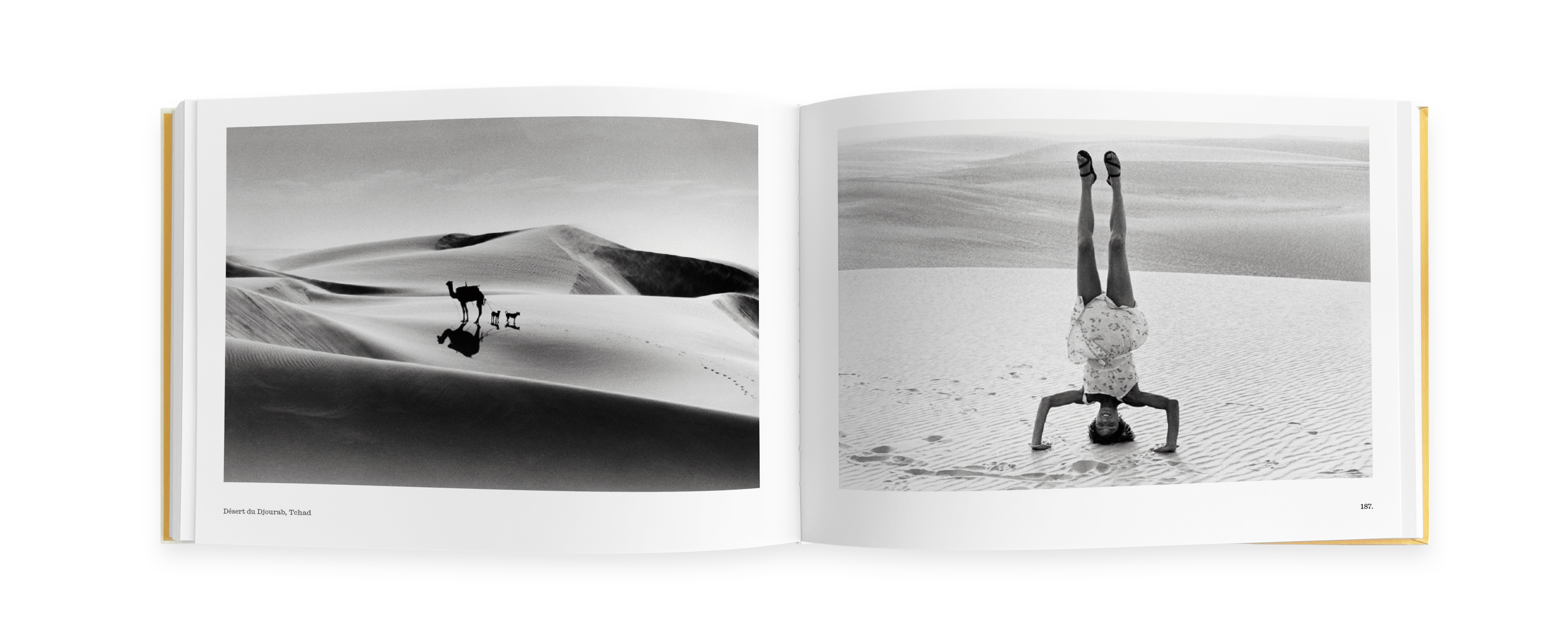 Fondation Cartier - Raymond Depardon Désert