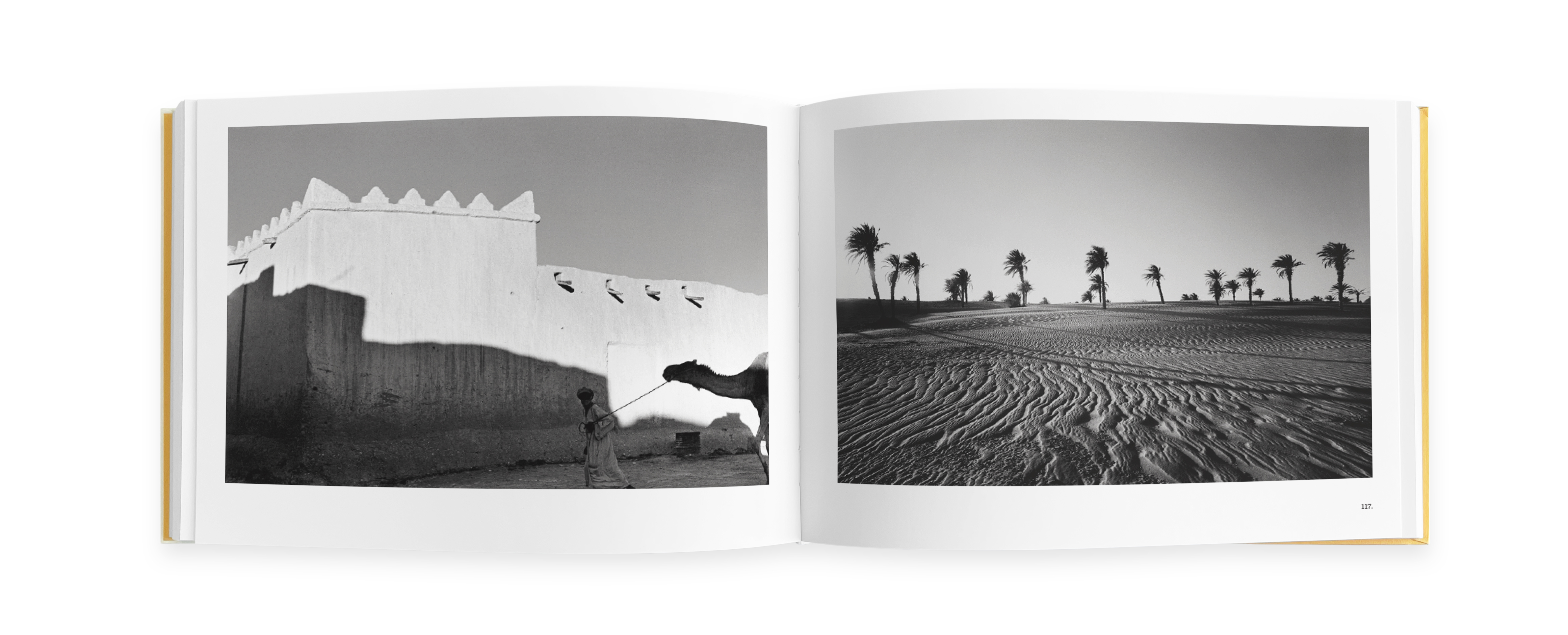 Fondation Cartier - Raymond Depardon, Desert