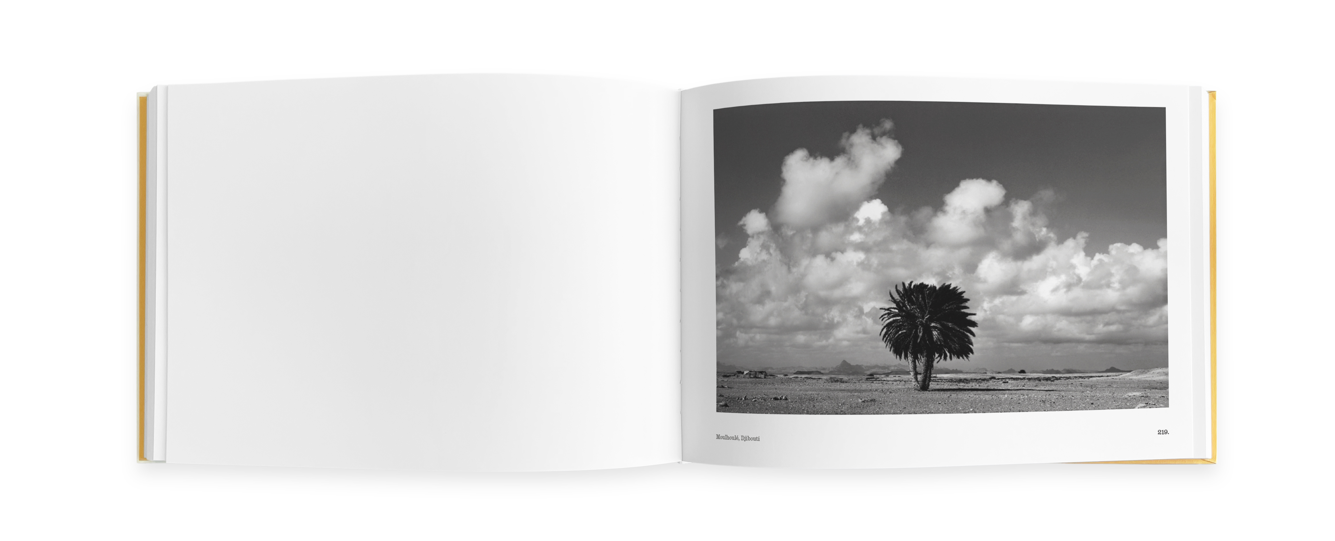 Fondation Cartier - Raymond Depardon Désert