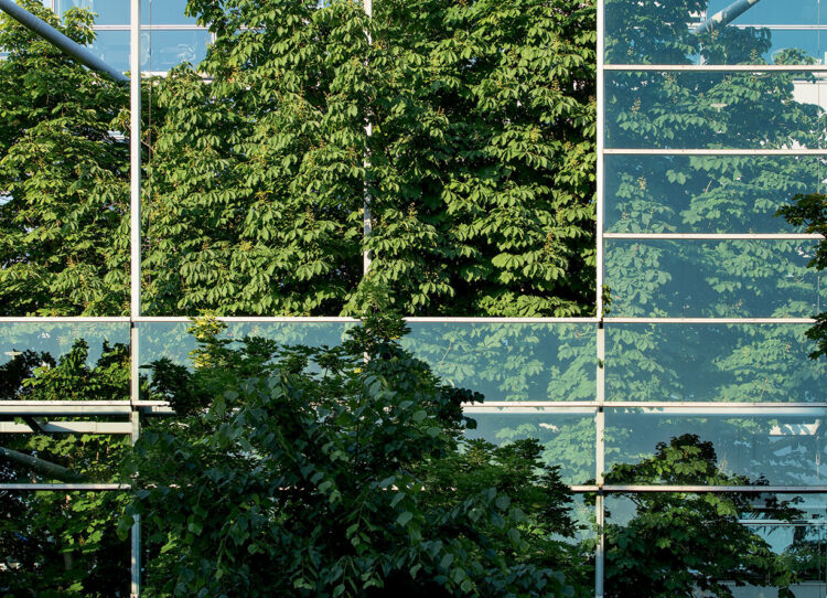 The building - Fondation Cartier pour l'art contemporain