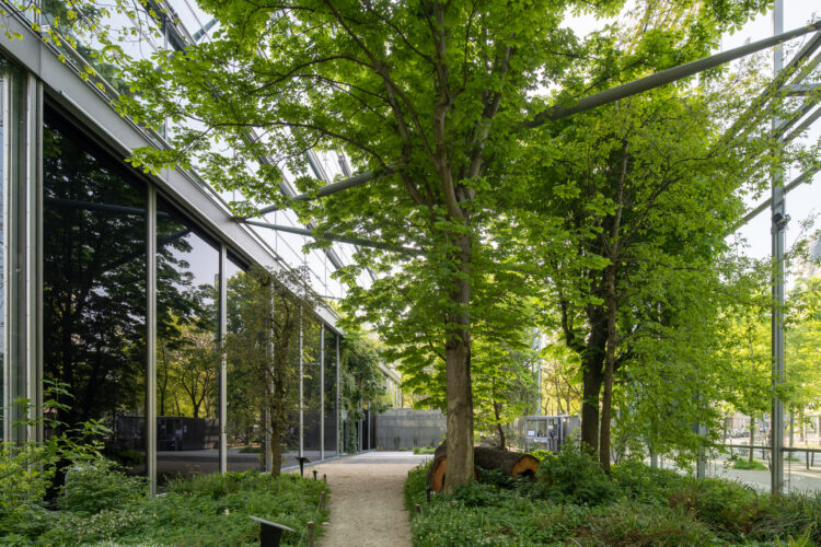 The building - Fondation Cartier pour l'art contemporain